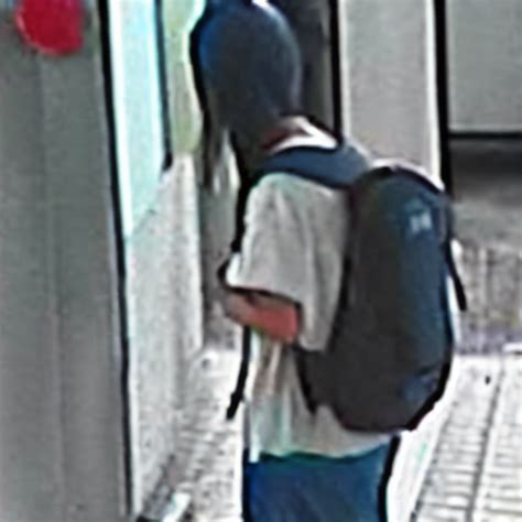 vvtq model lora sd15 at main