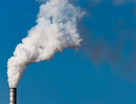 Way Past What The Fk Michael Campi Substack