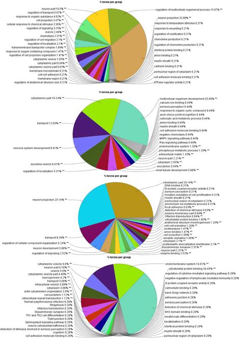Functional Groups In Cluego Overview Cluego Analysis Of Degs In