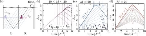 Entanglement Growth After A Quantum Quench In The Transverse Ising Download Scientific Diagram