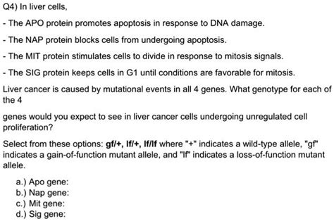 Solved Q4 In Liver Cells The Apo Protein Promotes Apoptosis In