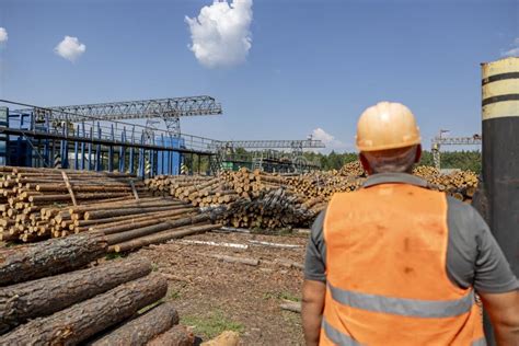 View Of The Backs Of Workers Engaged In Processing Loading And