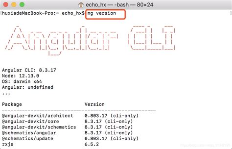 angular报错 error enoent no such file or directory scandir users