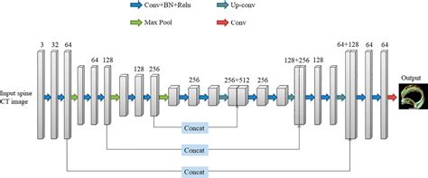 Frontiers Automated Segmentation Of Vertebral Cortex With 3d U Net