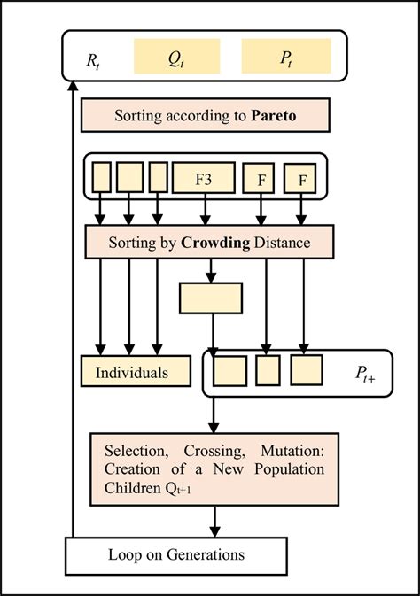 principle of operation of the nsga ii algorithm download scientific