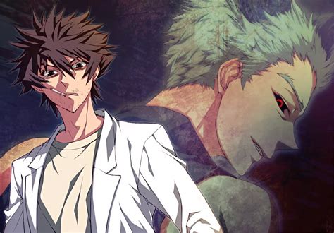 Shiki
