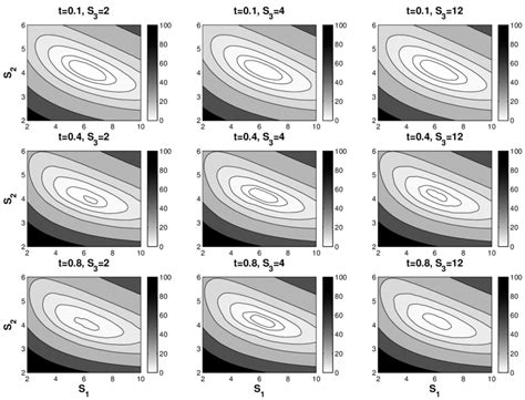 Contour Plots Of The Numerical Solution At Times T 01 04 08 And Download Scientific