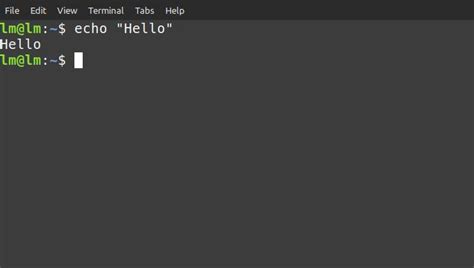 Executing Linux Commands Without Storing Them In History GeeksforGeeks