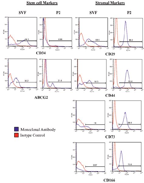 Flow Cytometry Histogram Of Adipose Derived Cells The Flow Cytometry Download Scientific Flow Cytometry Histogram Of Adipose Derived Cells The Flow Cytometry Download Scientific
