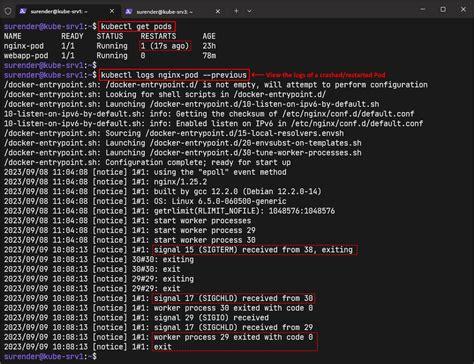 Kubernetes Logs Pod Logs Container Logs Docker Logs Kubelet Logs And Master Node Logs 4sysops