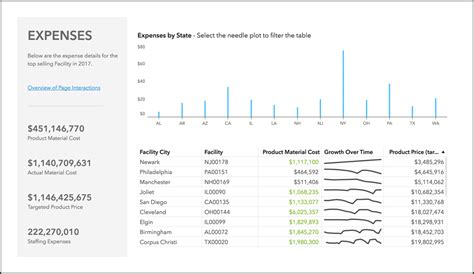 Tricks For Sas Visual Analytics Report Builders Step 4 Consider The