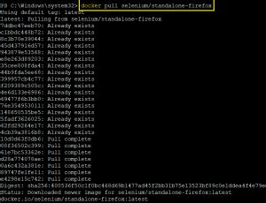 How To Run Selenium Tests In Docker