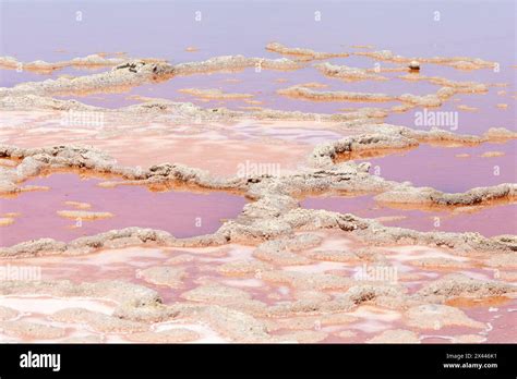 Crystallising Sea Salt In An Evaporation Pan At A Commercial Saltworks