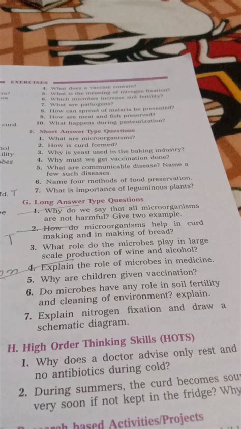 Explain Nitrogen Fixation And Draw A Schematic Diagram Nitro