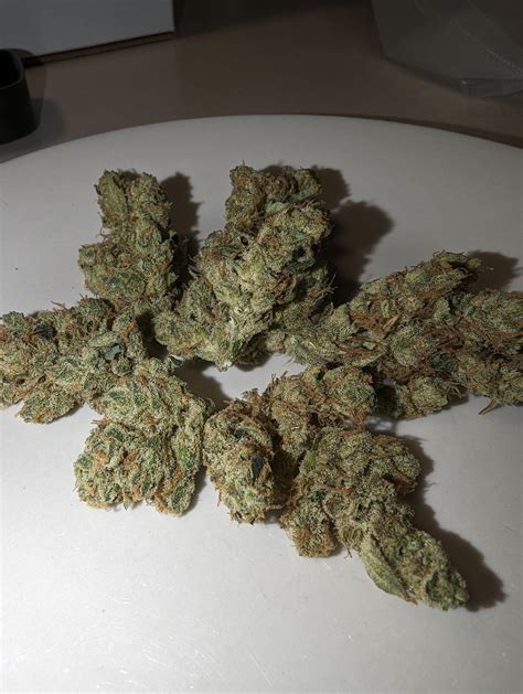 Flow Sour Sex Wax Rcultofthefranklin Flow Sour Sex Wax Rcultofthefranklin