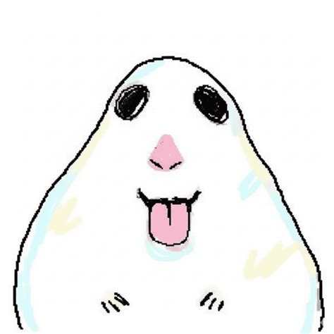 85 Hamster Memes Inspiration Drawings