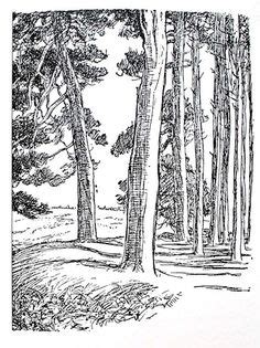 One Point Perspective Drawing Forest