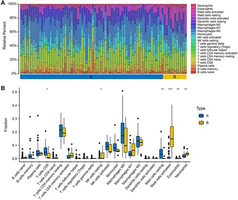Bioinformatics Analysis For Constructing A Cellular Senescence Related Age Related Macular