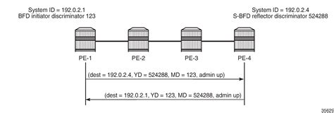 Seamless BFD Application Auto Bind Tunnel