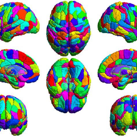 Illustrations Of The Brainnetome Atlas In The Cerebral Regions These