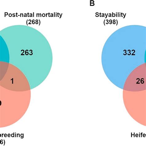 Venn Diagram Used To Identify Shared And Specific Snps A And Genes