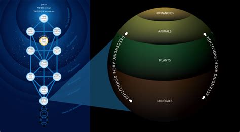 Where We Are Now Evolution Of Sex A Free Course