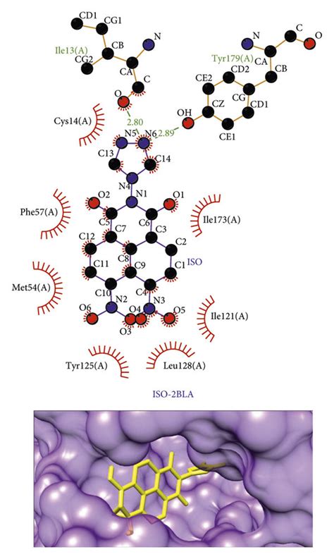 Binding Complex And Interaction Visualization Between Dihydrofolate