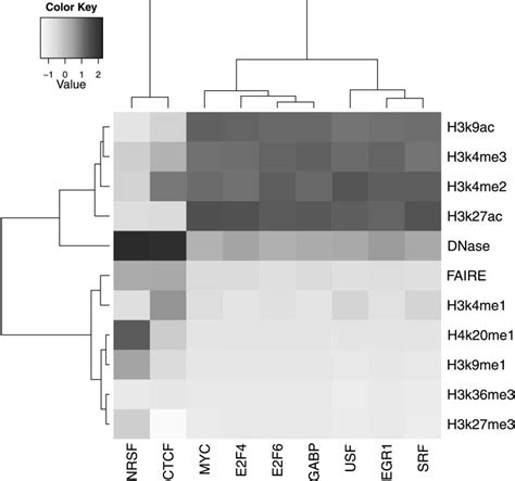hierarchical clustering of tfs and surrogates based on the enrichment