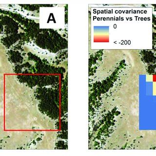 A Landscape With Visually Apparent Grass Tree Boundaries And An Download Scientific Diagram