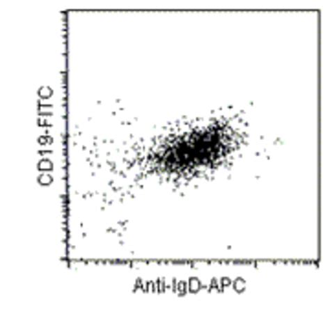 B Cells Human Miltenyi Biotec 日本