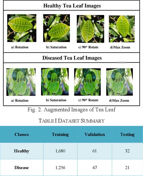 Figure 2 From Tea Leaf Disease Identification Using Improved