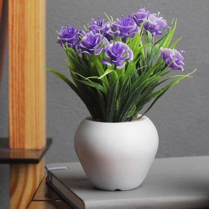 Planter Buy Planters Online In India At Best Price