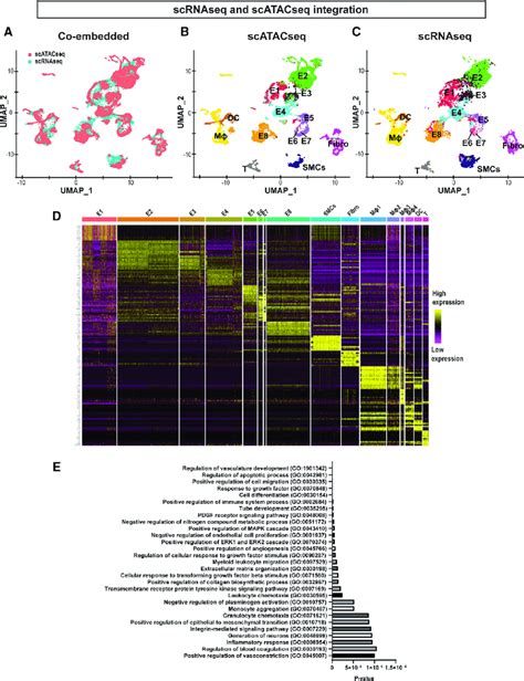 Integration Of Scrna Seq And Scatac Seq Datasets And Differential Gene Download Scientific