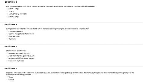 Solved Question 3 After Pyruvate Processing But Before The