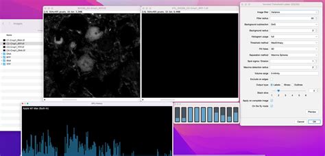 Biovoxxel 3d Error Due To Clij2 Exception Usage And Issues Imagesc Forum