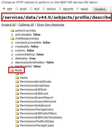 How To Get Api Name Of Permissions From Profile In Salesforce Infallibletechie