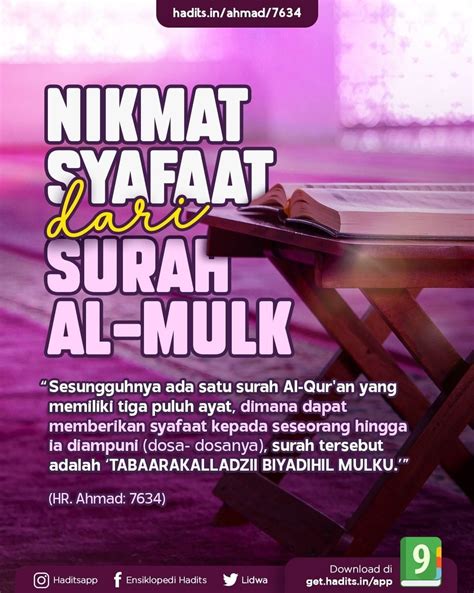 Pin oleh 🎀 𝐿𝓊𝓀𝒾𝑒 🎀 di Al Qur'an | Kutipan pelajaran hidup, Kata-kata ...