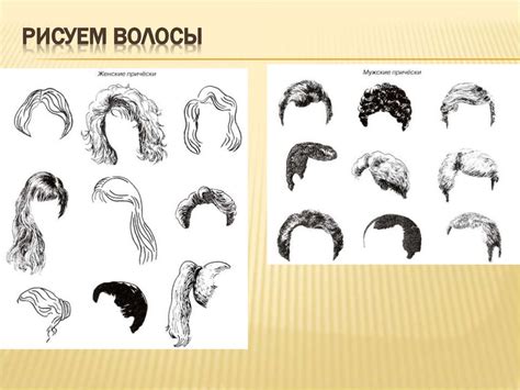 Пропорции головы человека презентация онлайн