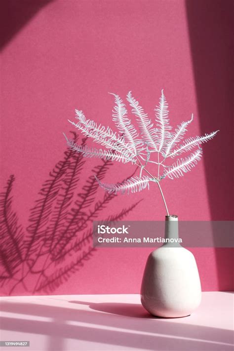 보라색 배경에 햇빛에 깊은 그림자와 꽃병에 고사리의 마른 가지 최소한의 인테리어 장식 에코 자연 개념 복사 공간을 복사합니다 실내에 대한 스톡 사진 및 기타 이미지 Istock