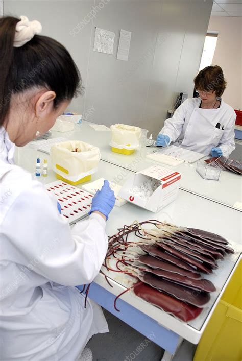 Blood Group Identification Stock Image C Science Photo Library
