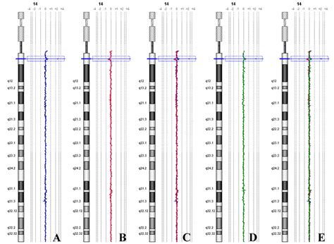 Representative Array Cgh Profiles Of Chromosome 14 From Patients N 4 Download Scientific