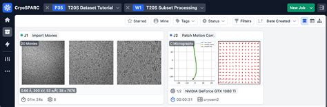 get started with cryosparc introductory tutorial v4 0 cryosparc guide