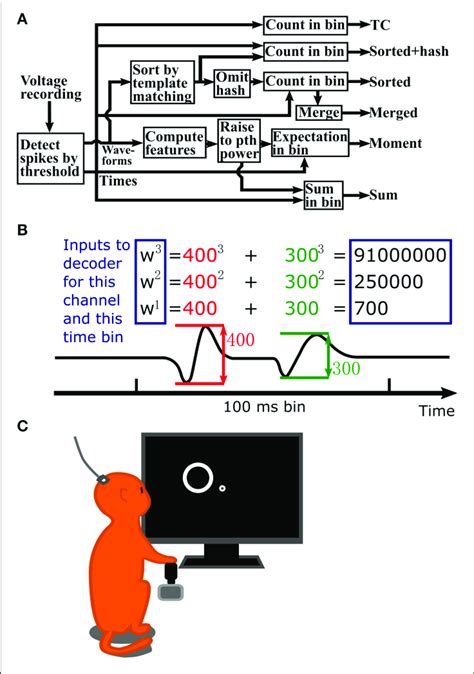 A Flowchart Of Signal Processing B Example Waveform Amplitude
