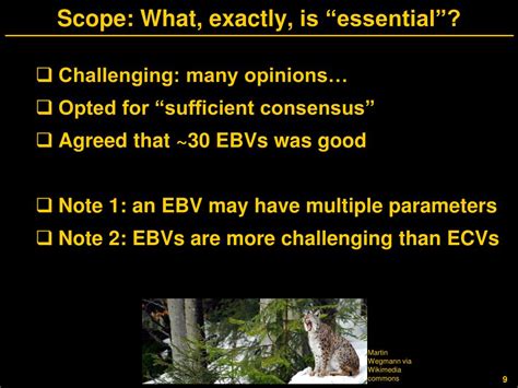Ppt Essential Biodiversity Variables Ebvs Powerpoint Presentation