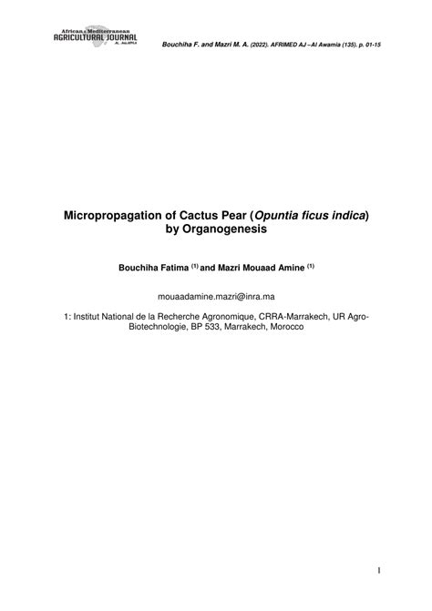 Pdf Micropropagation Of Cactus Pear Opuntia Ficus Indica By Organogenesis