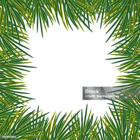 2피어 브랜치가 흰색 배경에 격리되어 있습니다 배경 테두리 또는 크리스마스 트리의 가지와 프레임 갈랜드 휴일 장식 새해와 크리스마스 가문비나무에 대한 스톡 벡터 아트 및