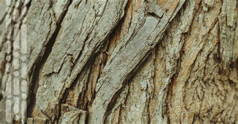 Mifid Ii And Idd Sustainability Preferences Checklist An Essential Tool For Financial Product