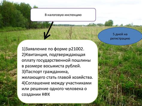 Правовой режим земель предоставленных для ведения крестьянского хозяйства Порядок