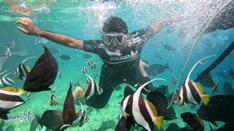 Video Minar Hossain On Linkedin Just Enjoy